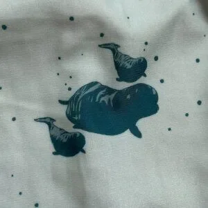 kate quinn | Swim | Nwt Kate Quinn Blue Beluga Whale Swimsuit Upf 5 36m ...